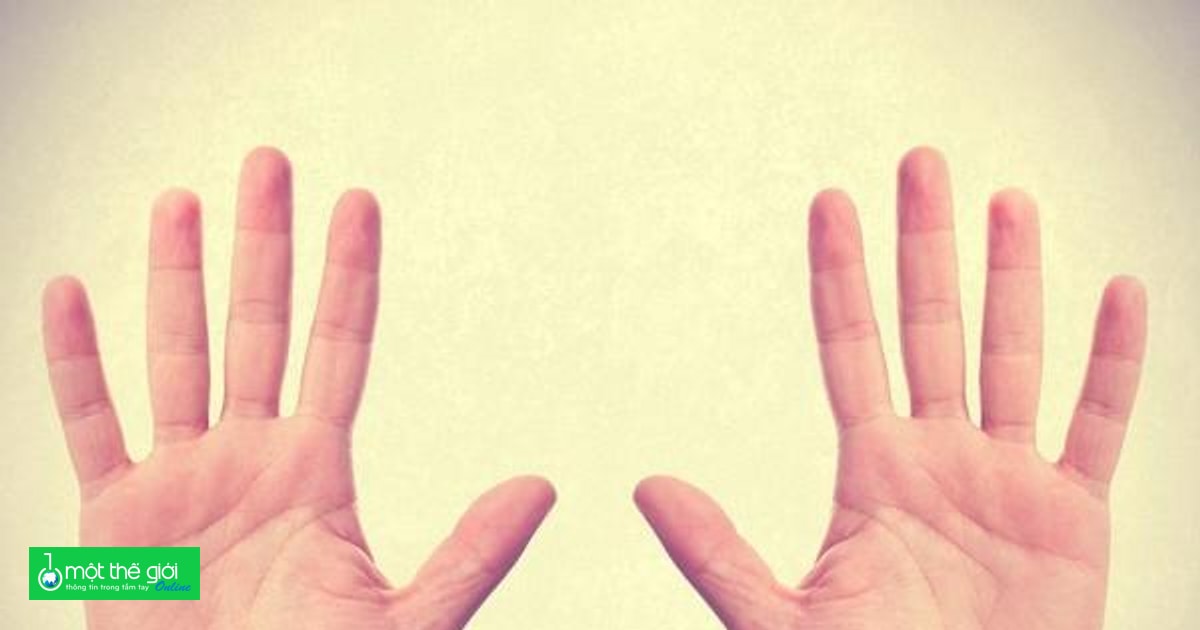 Bàn tay và số phận: Những kiểu bàn tay kinh điển của con người