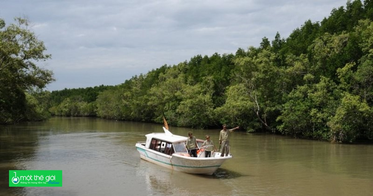 Đề cử rừng phòng hộ Cần Giờ thành khu Ramsar