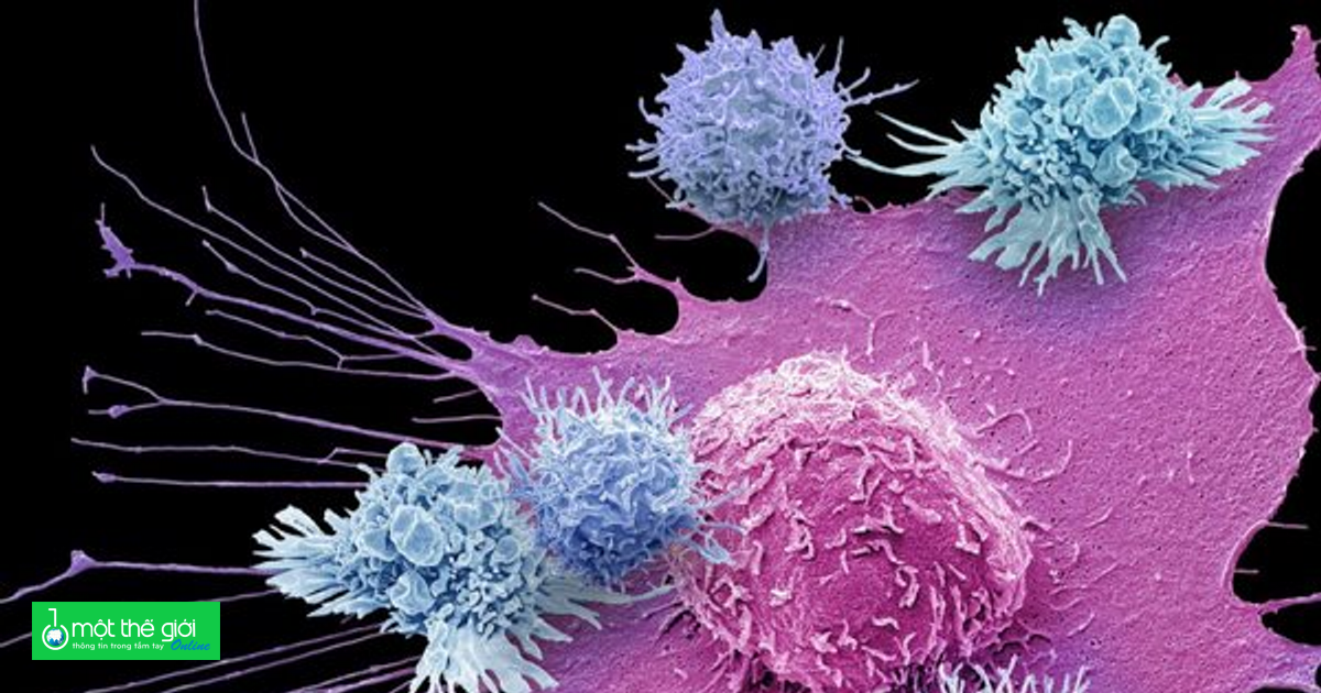 Bệnh nhân ung thư 'về nhà chờ chết' có thể tự khỏi bệnh