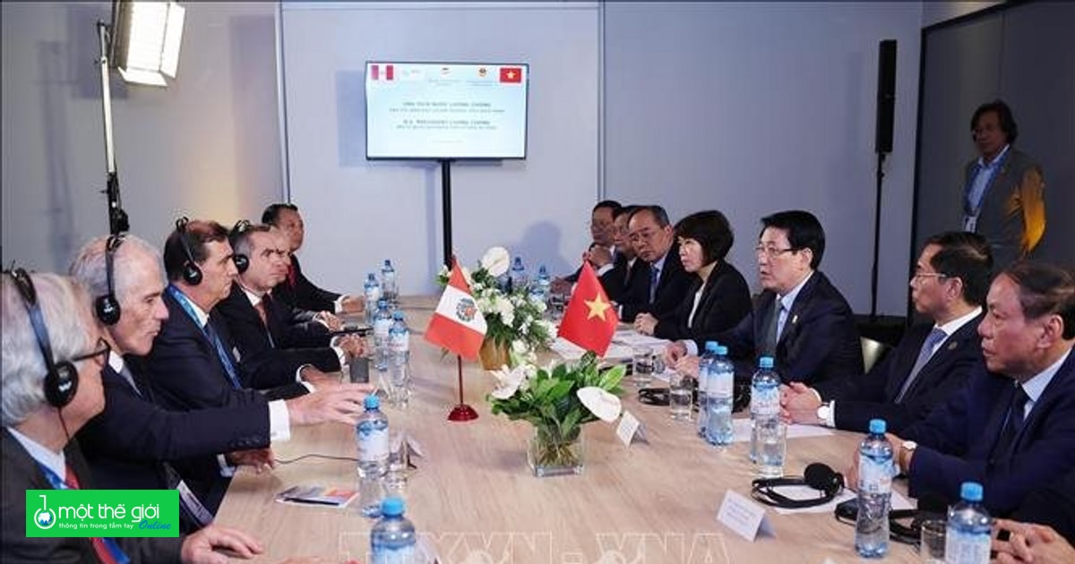 Chủ tịch nước Lương Cường: Việt Nam sẽ là cửa ngõ kết nối các doanh ...