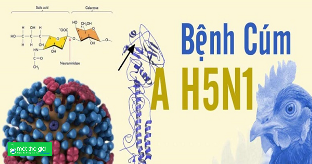 Bé gái 8 tuổi ở Tây Ninh bị viêm màng não do vi rút cúm gia cầm H5N1