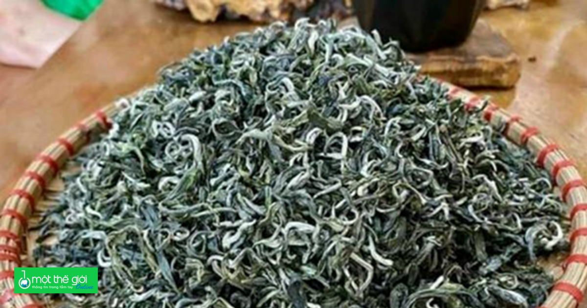 Chè Lai Châu - 3 loại chè đặc sắc vừa được cấp chỉ dẫn địa lý