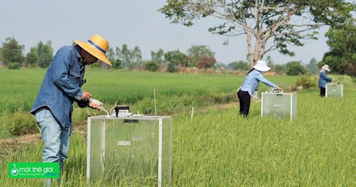 Chuyển đổi số giám sát môi trường giúp nhà nông ĐBSCL canh tác lúa ...