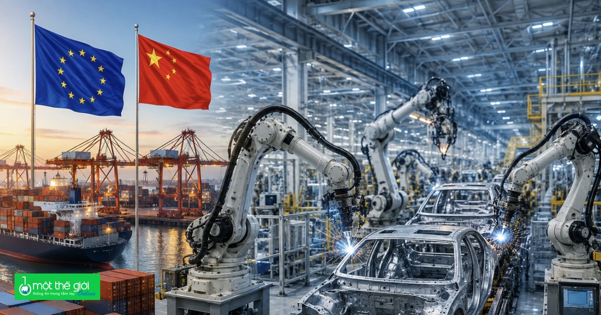 Công ty châu Âu tăng cường sản xuất ở Trung Quốc và nhà máy không cần ...